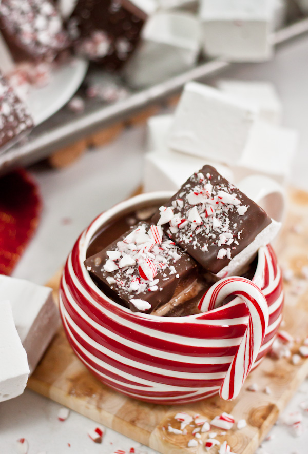 Marshmallow chocolate candy store