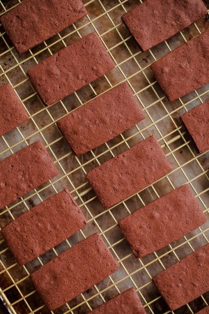 Tim Tams Recipe (How to Make Homemade Tim Tams) - A Beautiful Plate