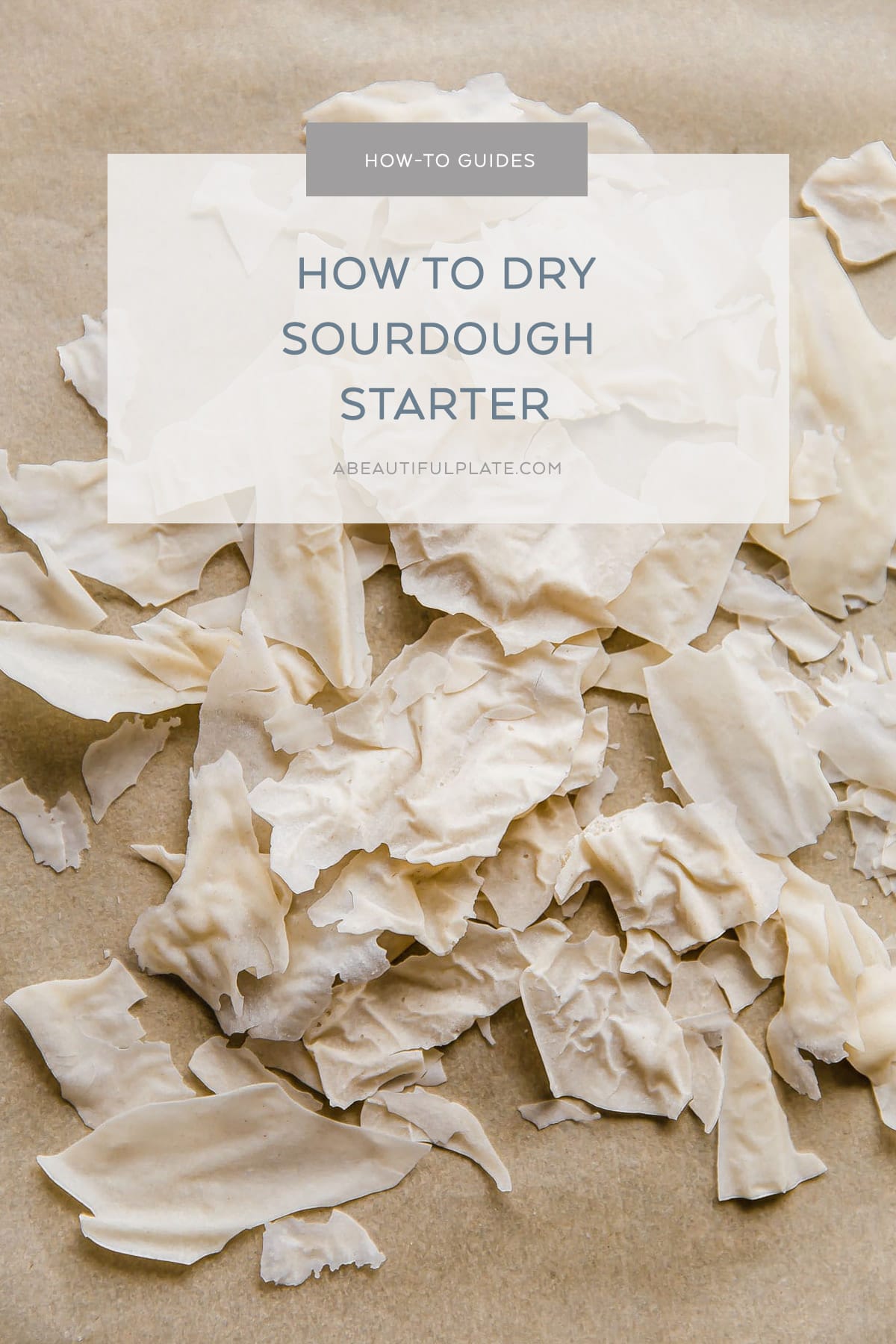 How to Dry Sourdough Starter - A Beautiful Plate